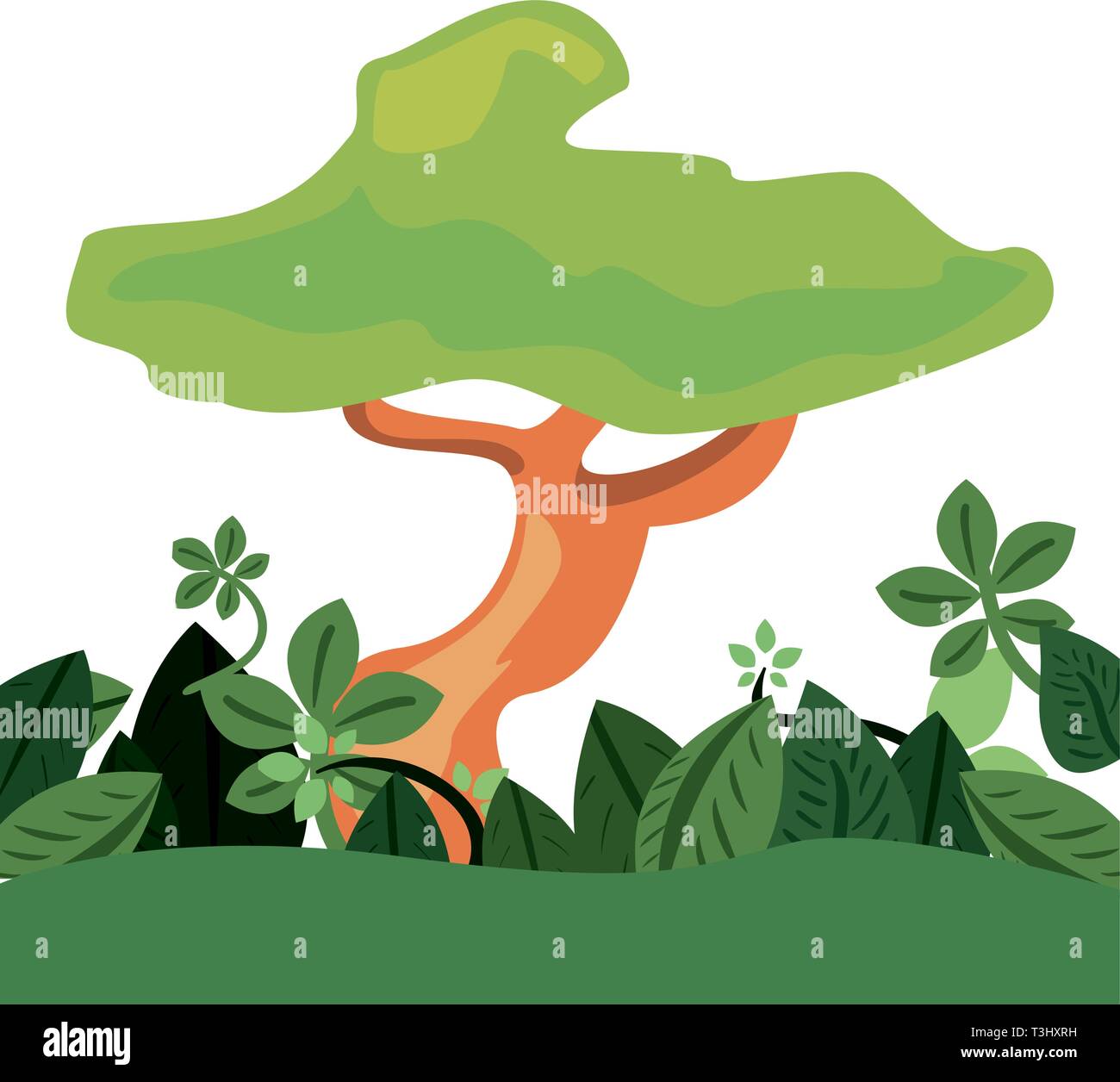 tree leaves foliage nature flora vector illustration Stock Vector Image ...