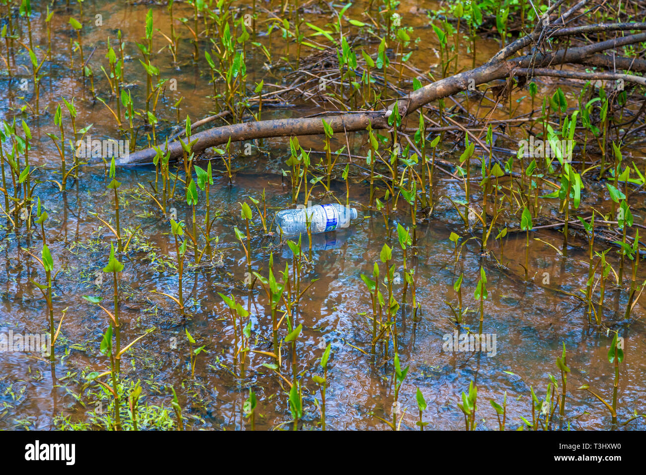 Plastic flood hi-res stock photography and images - Alamy
