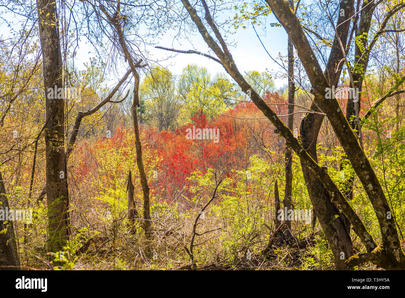 Season seasons hi-res stock photography and images - Alamy