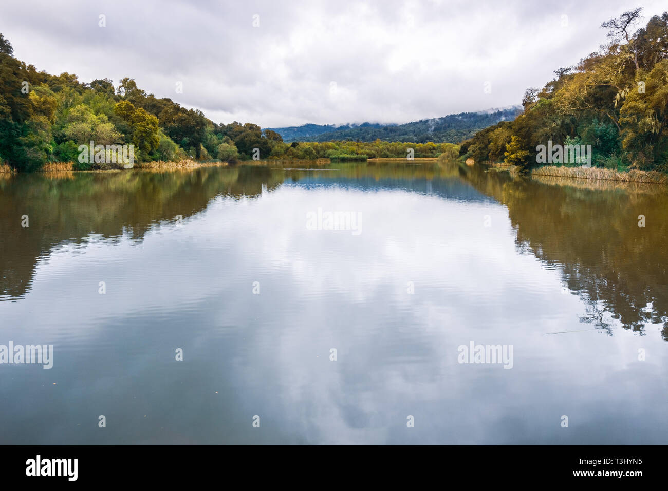 Searsville lake hi-res stock photography and images - Alamy