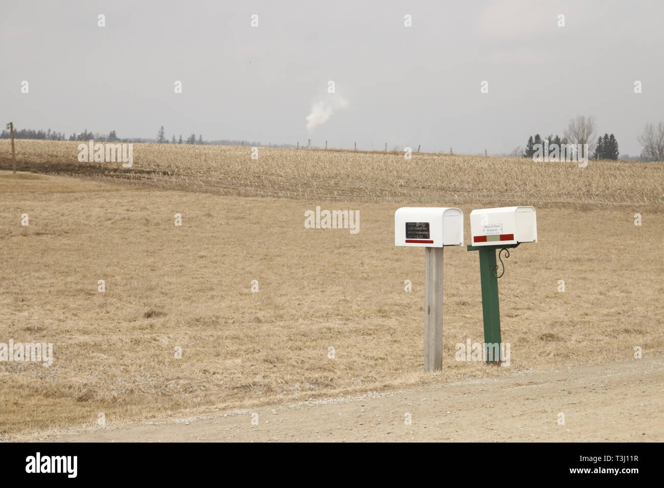 Rustic mailbox on wood post along country road Stock Photo - Alamy