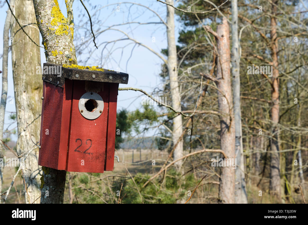 Red bird house hi-res stock photography and images - Alamy