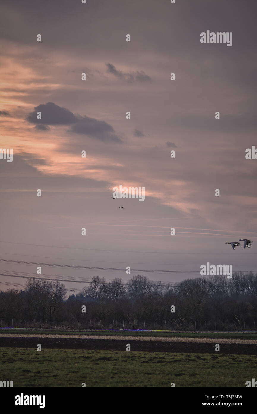 Flying scenes hi-res stock photography and images - Alamy