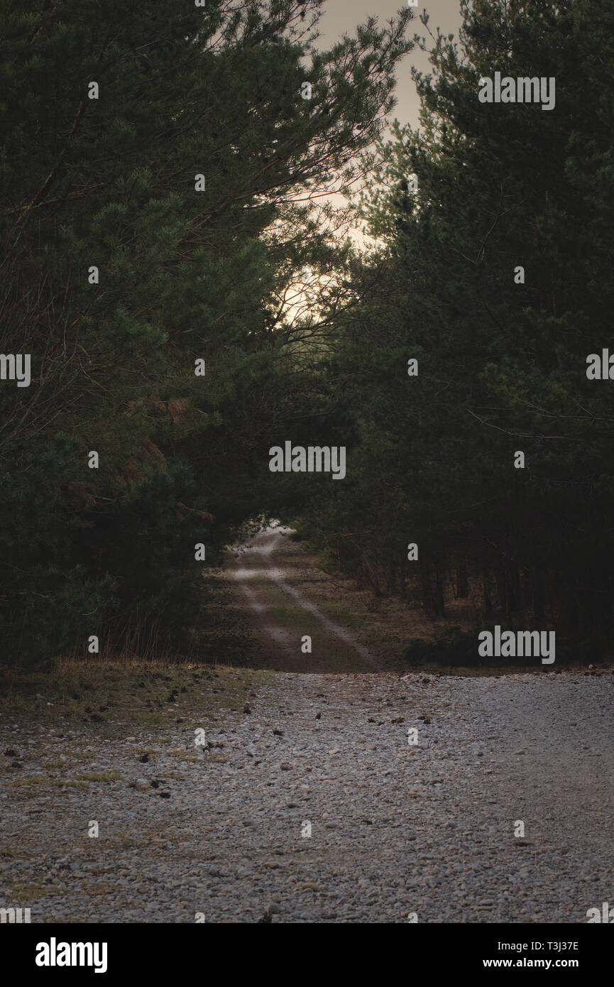 Moody alley hi-res stock photography and images - Alamy