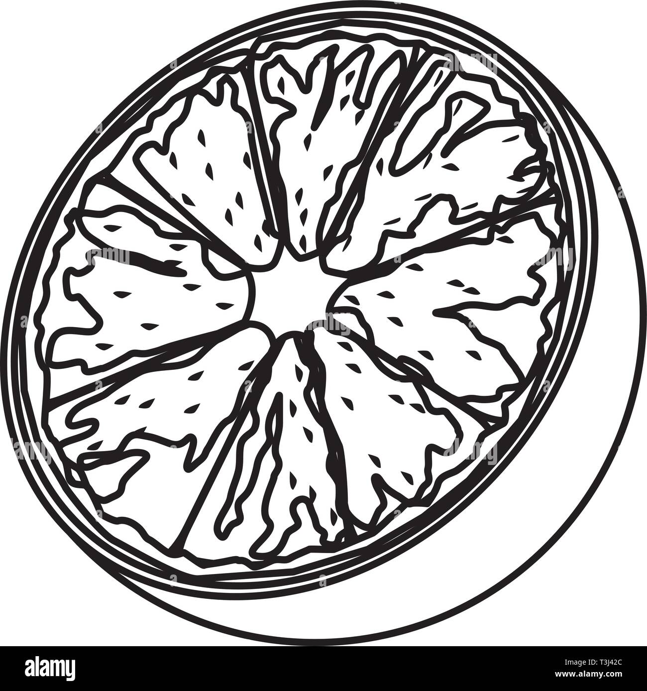 half orange icon cartoon black and white Stock Vector Image & Art - Alamy