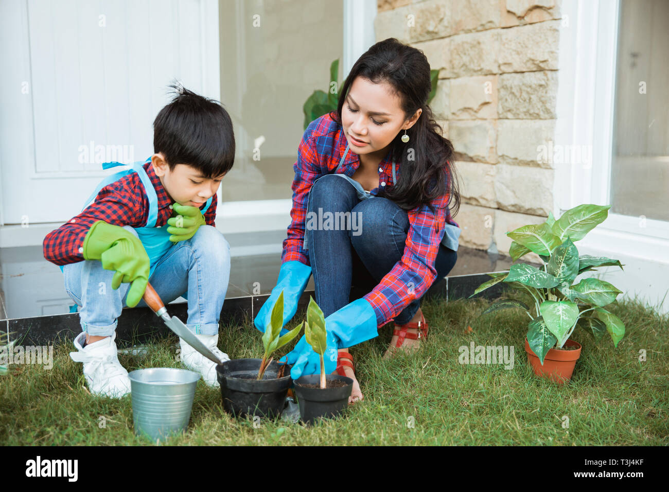 mom and son planting new plant. gardening activity Stock Photo - Alamy