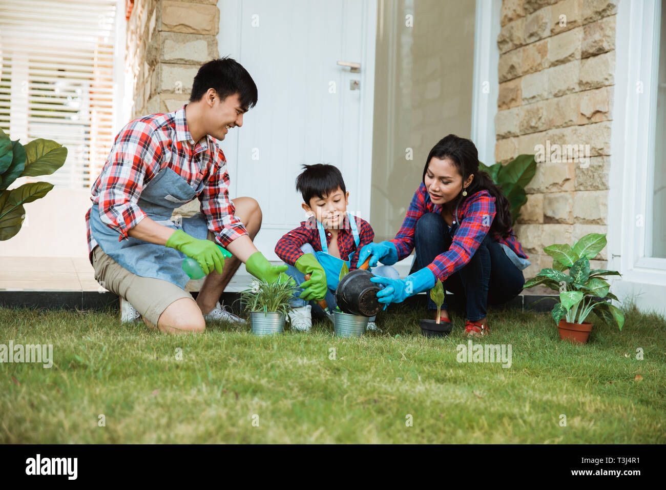 parent and son gardening activity outdoor in the garden house Stock ...