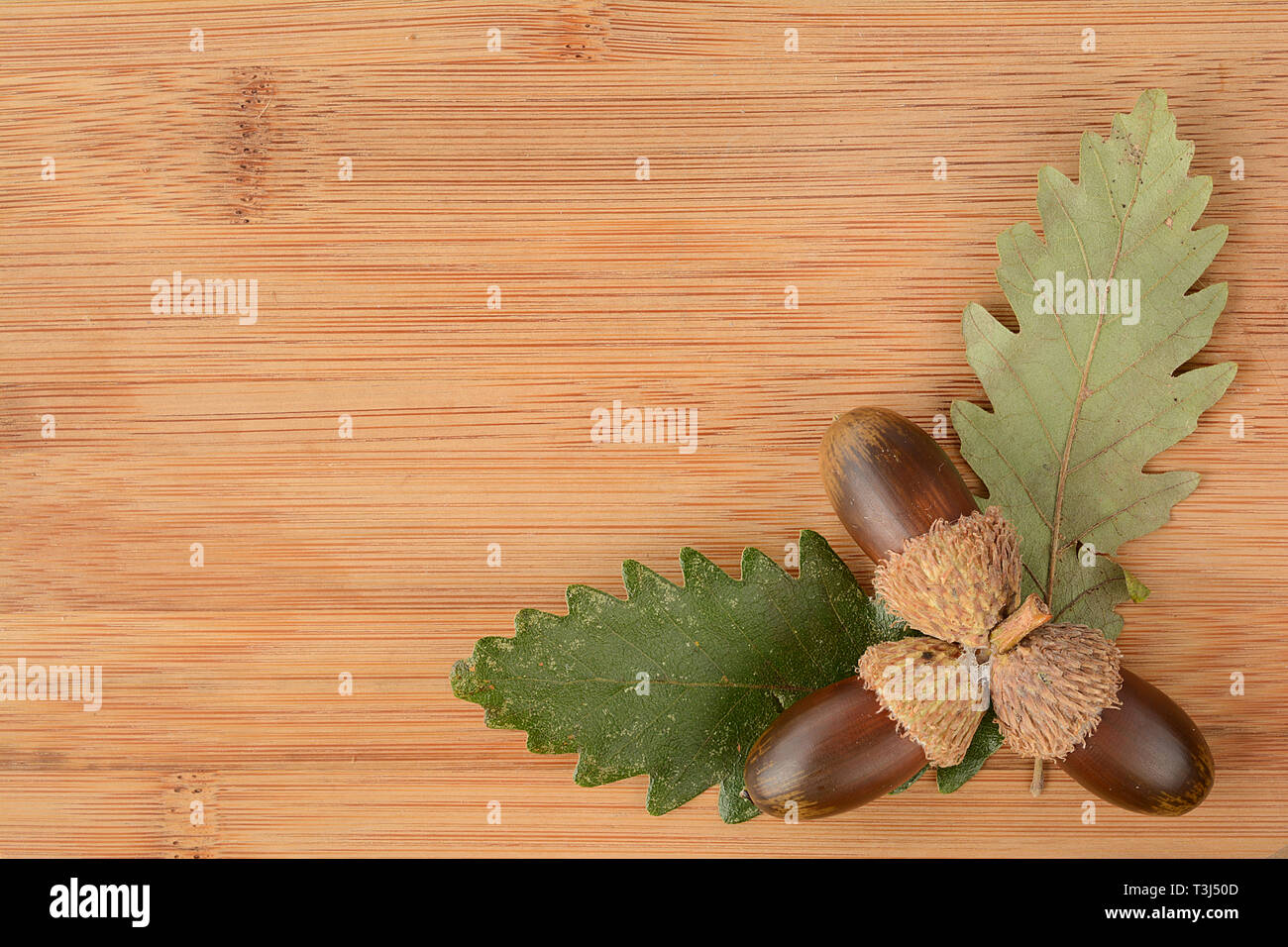 Green oak leaves and acorns on wooden background with copy space Stock Photo - Alamy