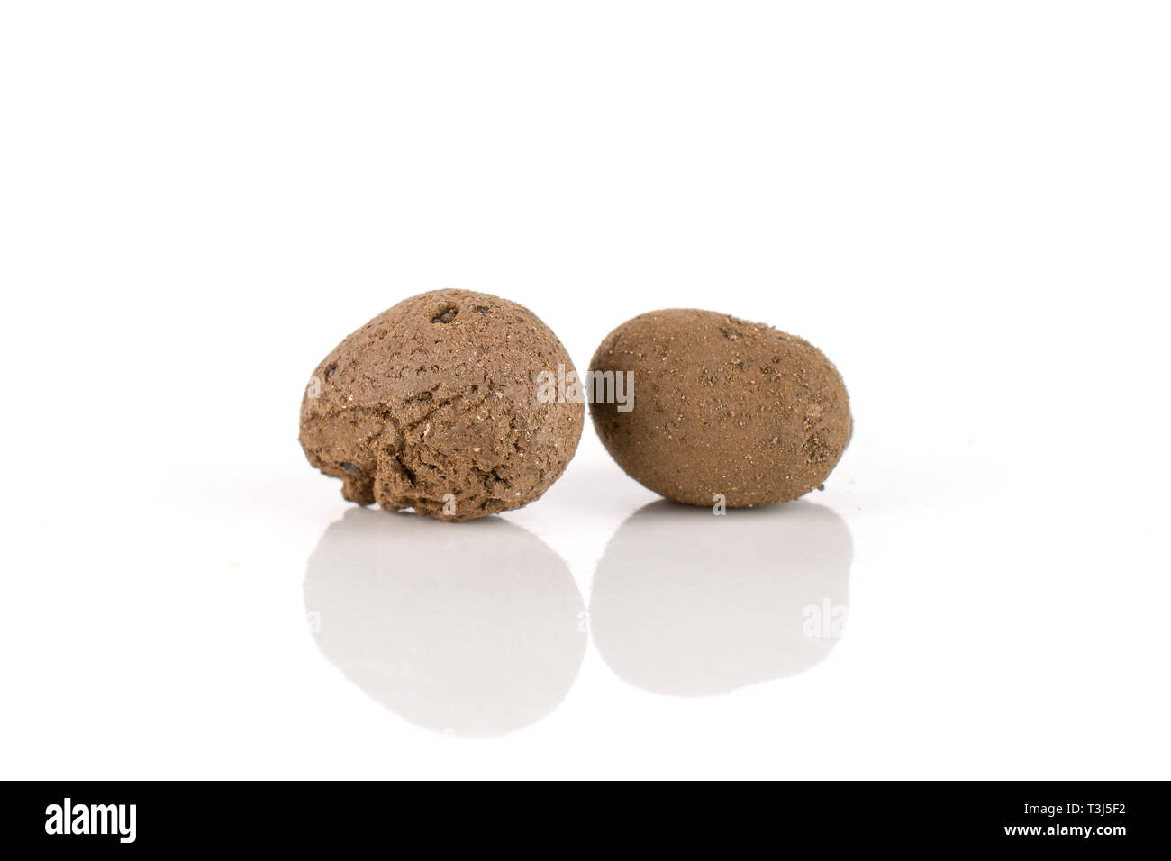 Group of two whole brown clay pebbles (leca) isolated on white ...