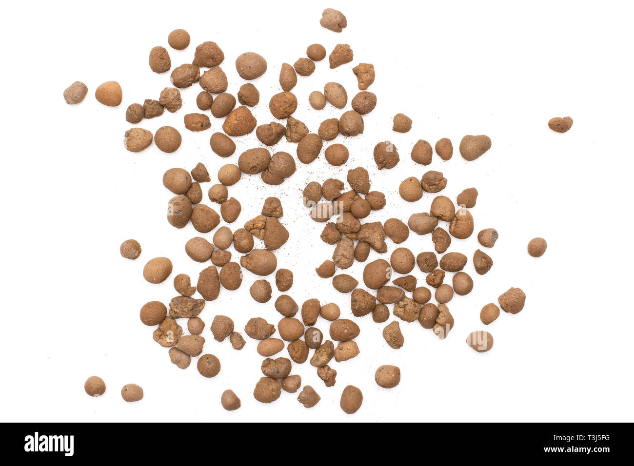 Lot of whole brown clay pebbles (leca) flatlay isolated on white ...