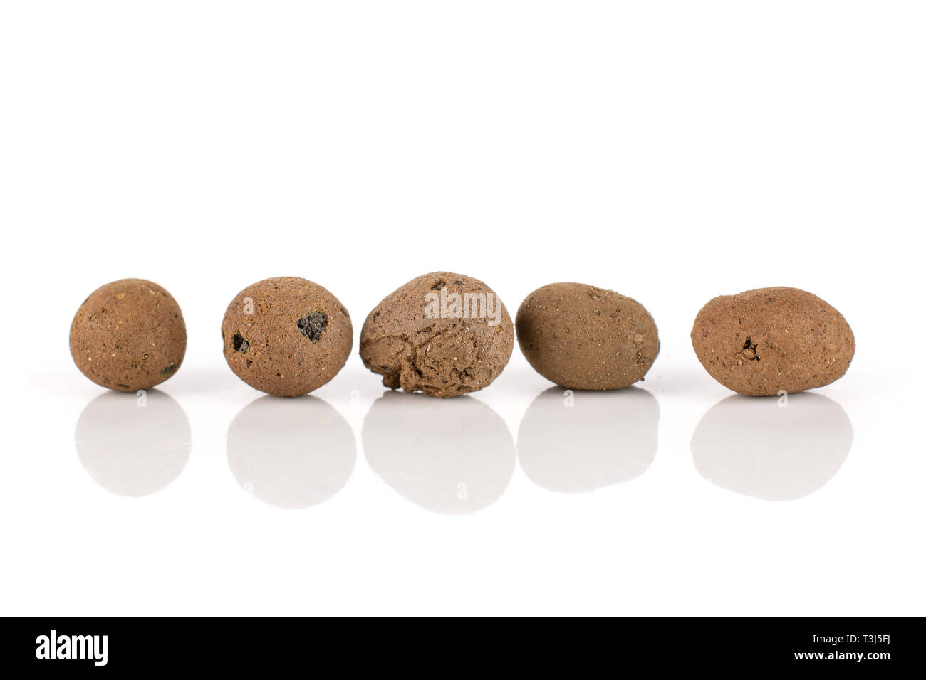 Group of five whole brown clay pebbles (leca) in row isolated on white ...