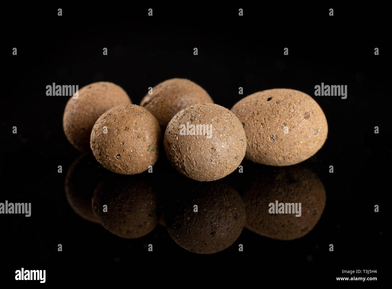 Group of five whole brown clay pebbles (leca) isolated on black glass ...