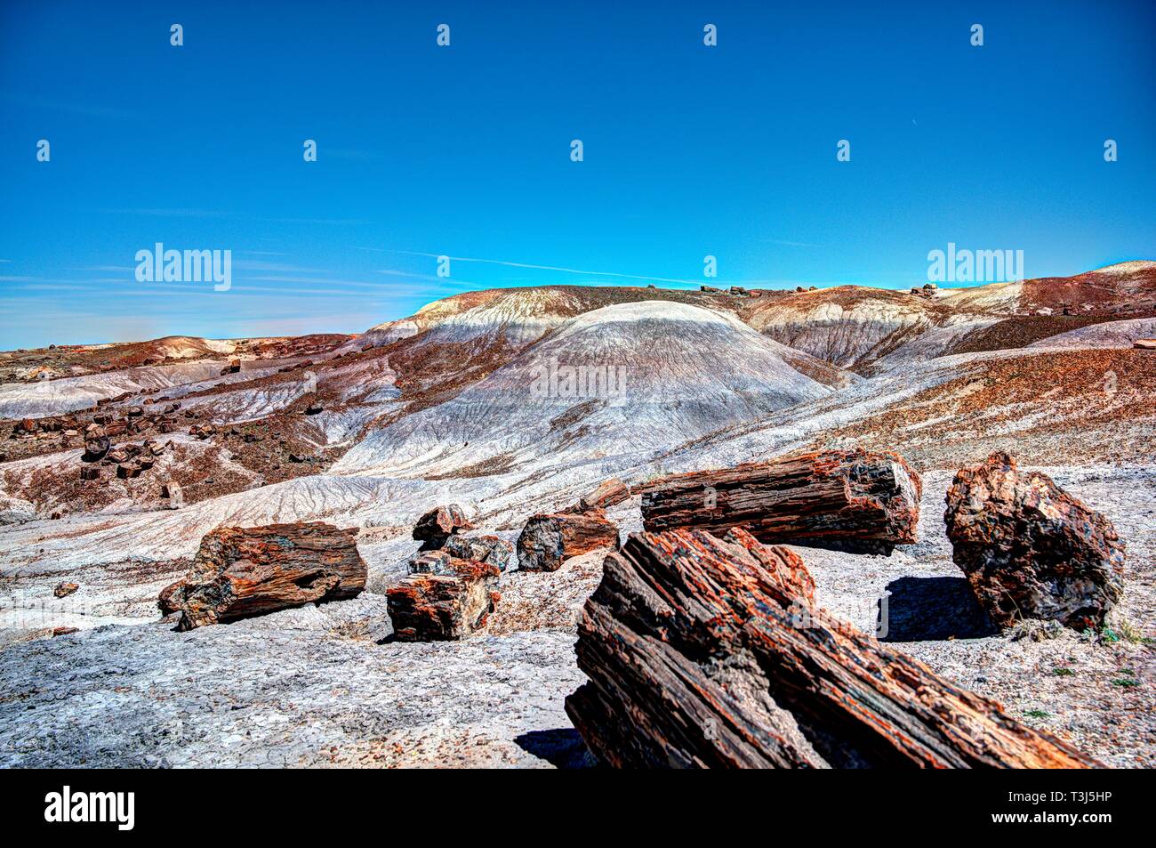 Blue Mesa within the Petrified Forest National Park Stock Photo - Alamy