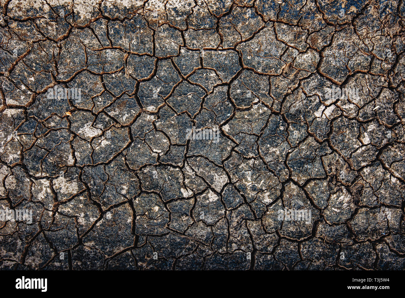 Mudcrack texture top view, dried and contracted muddy sediment from ...