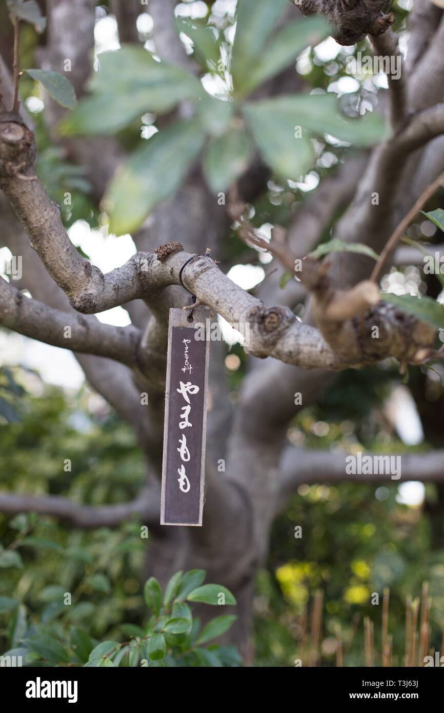 Sakai city calligraphy hi-res stock photography and images - Alamy