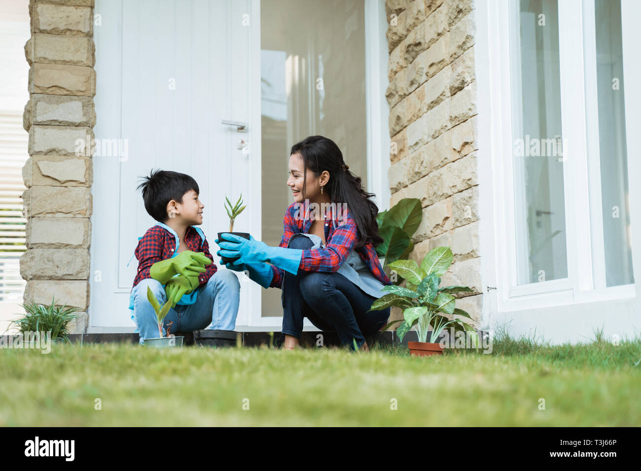 mom and son planting new plant. gardening activity Stock Photo - Alamy