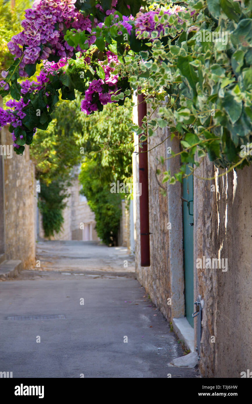 Old street with flowers in Supetar town in Brac island, Croatia Stock ...