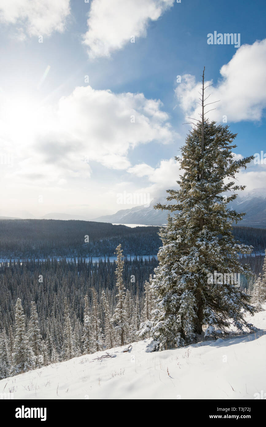 Winter in Western Alberta Canada Stock Photo - Alamy