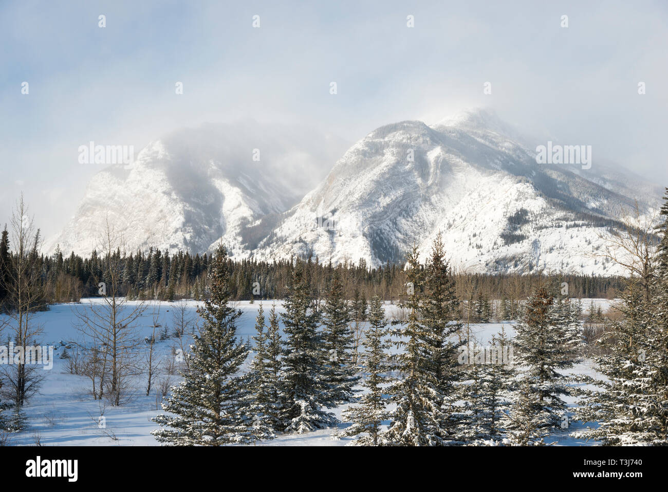 Winter in Western Alberta Canada Stock Photo - Alamy