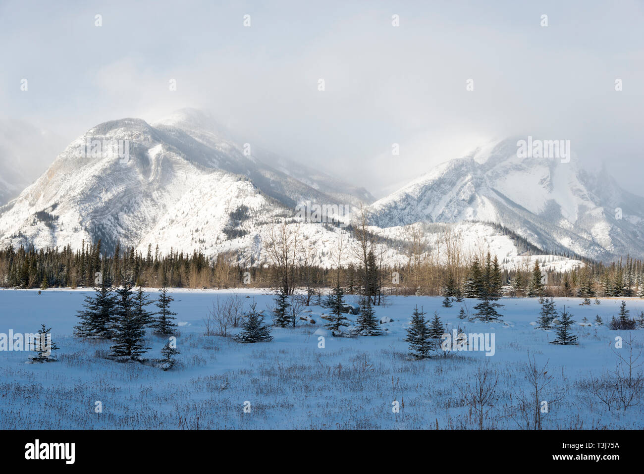 Alberta climate hi-res stock photography and images - Alamy