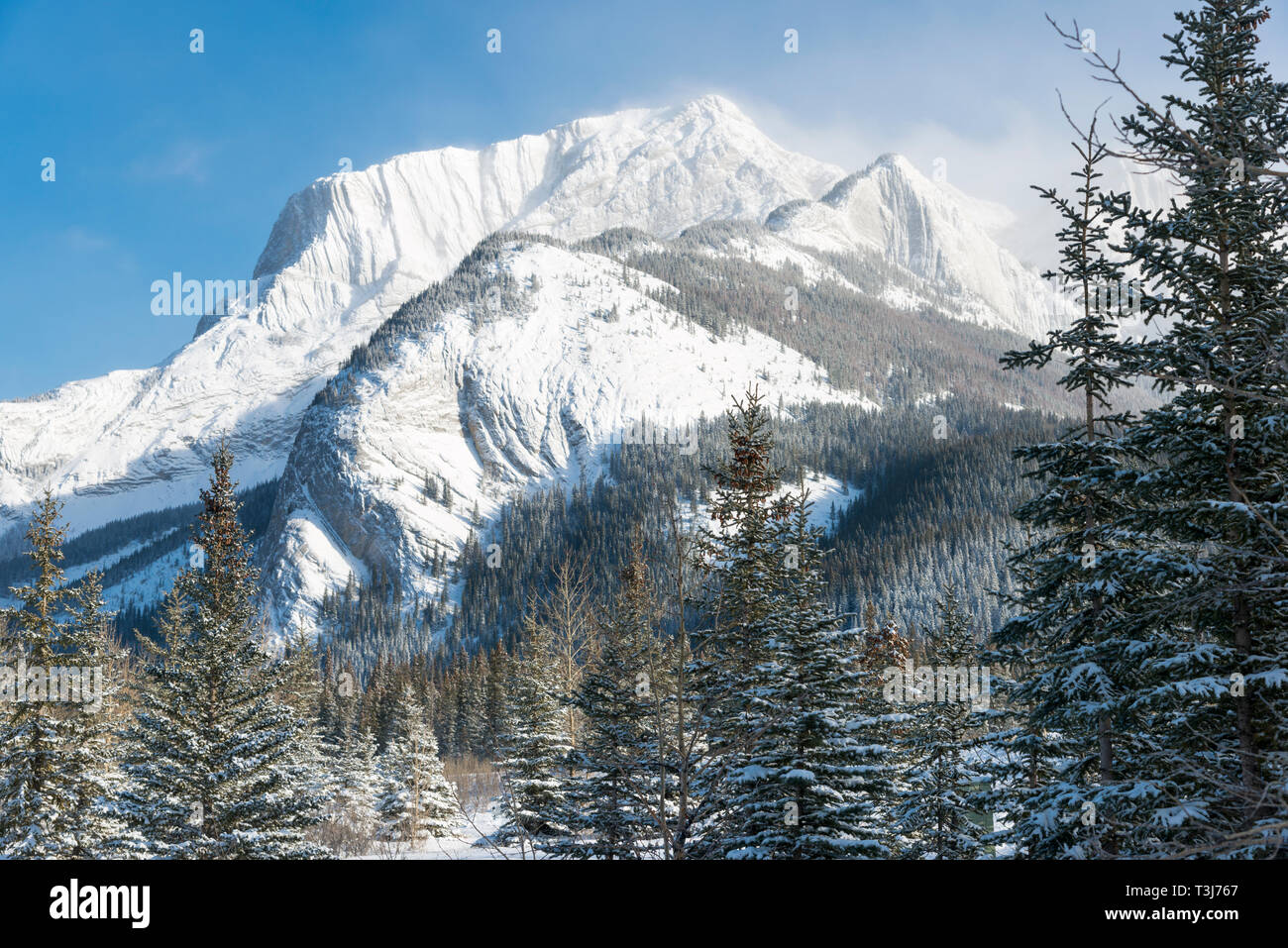 Roche a Perdrix mountain in Jasper Alberta Stock Photo - Alamy