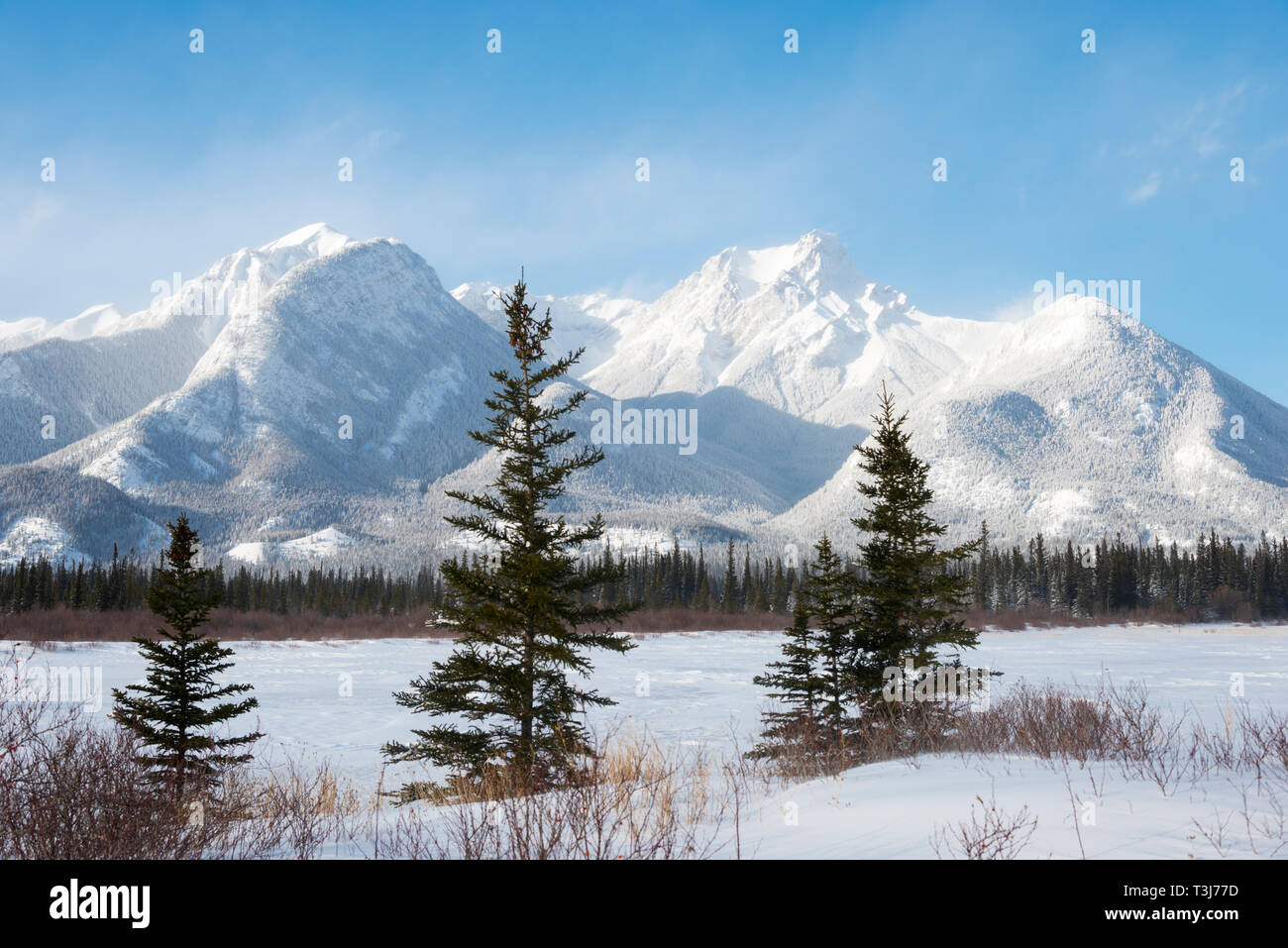 Winter in Western Alberta Canada Stock Photo - Alamy