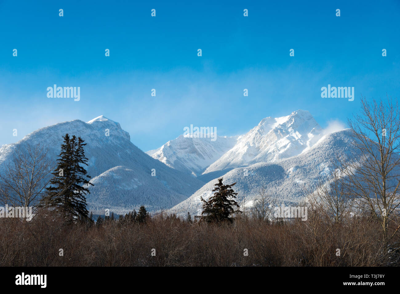 Western alberta hi-res stock photography and images - Alamy