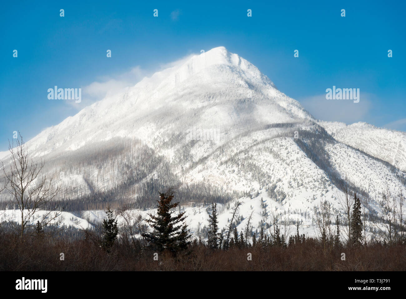 Winter and climate hi-res stock photography and images - Alamy