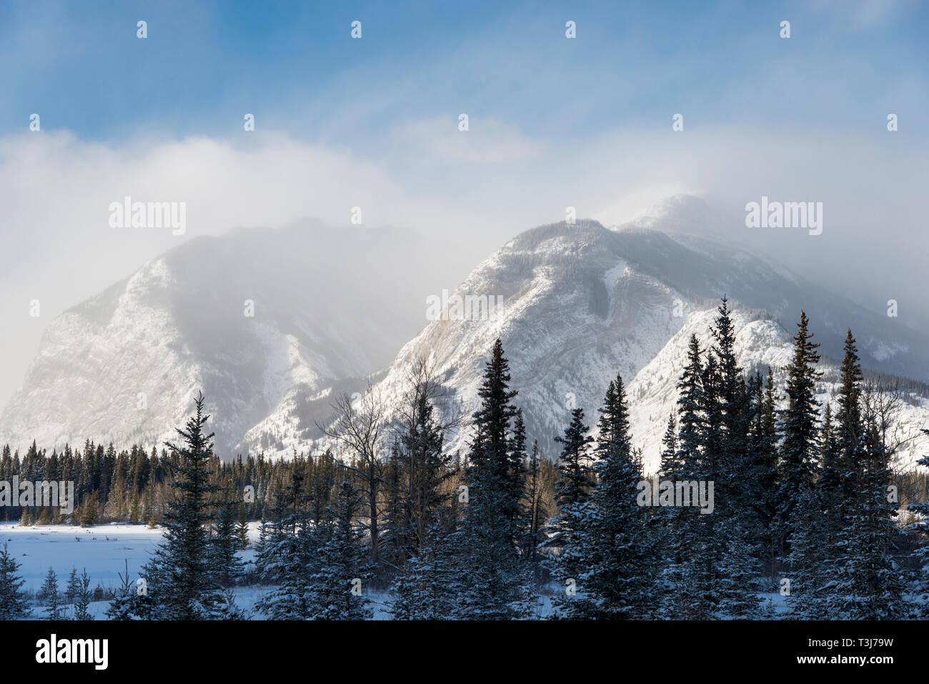Winter in Western Alberta Canada Stock Photo - Alamy