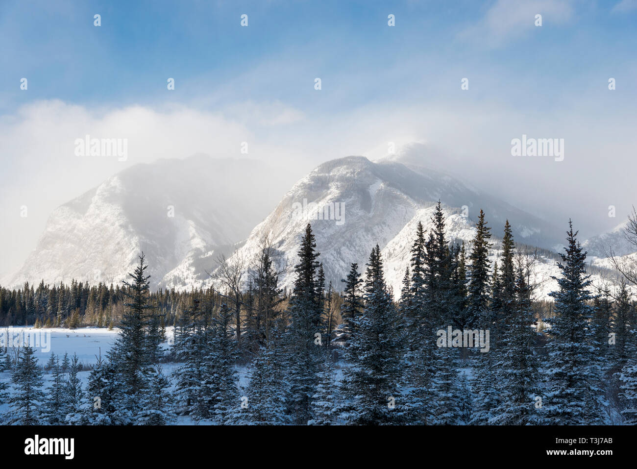 Canada winter weather hi-res stock photography and images - Alamy