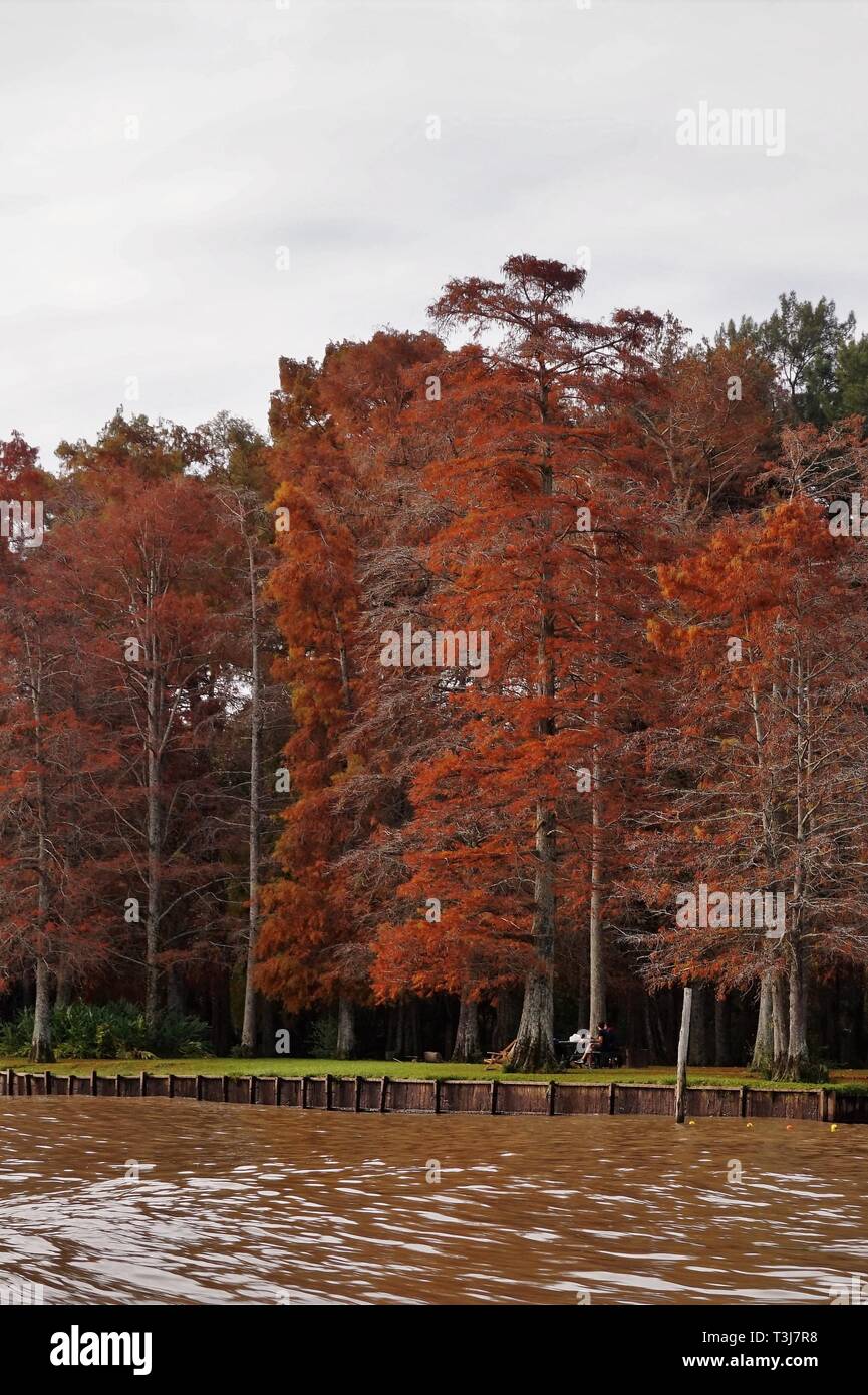Red Autumn Trees Stock Photo - Alamy