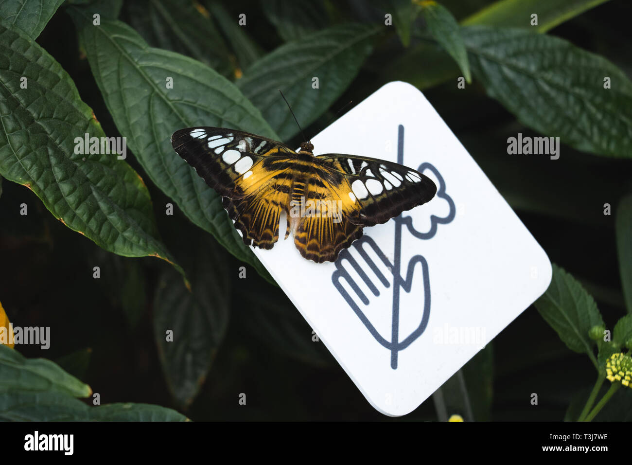 Don't touch sign hi-res stock photography and images - Alamy