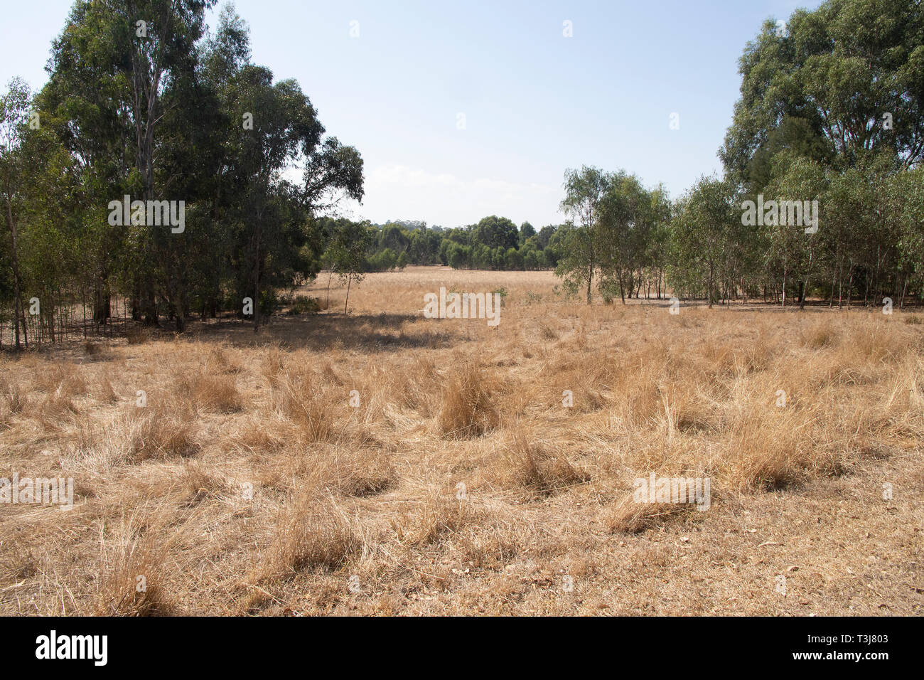 Woodlands Historic Park provides a fascinating glimpse of the ...