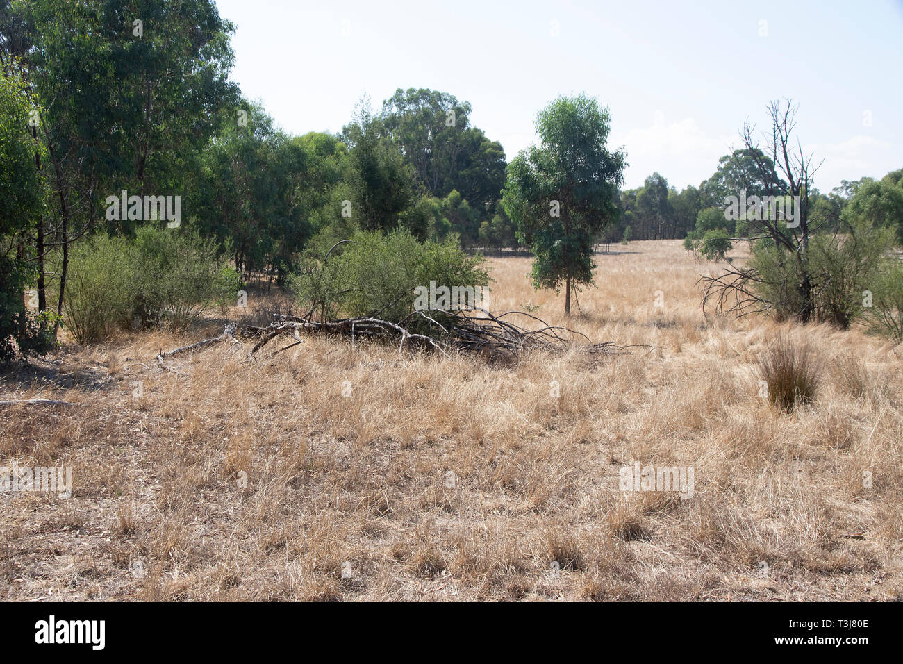 Woodlands Historic Park provides a fascinating glimpse of the ...