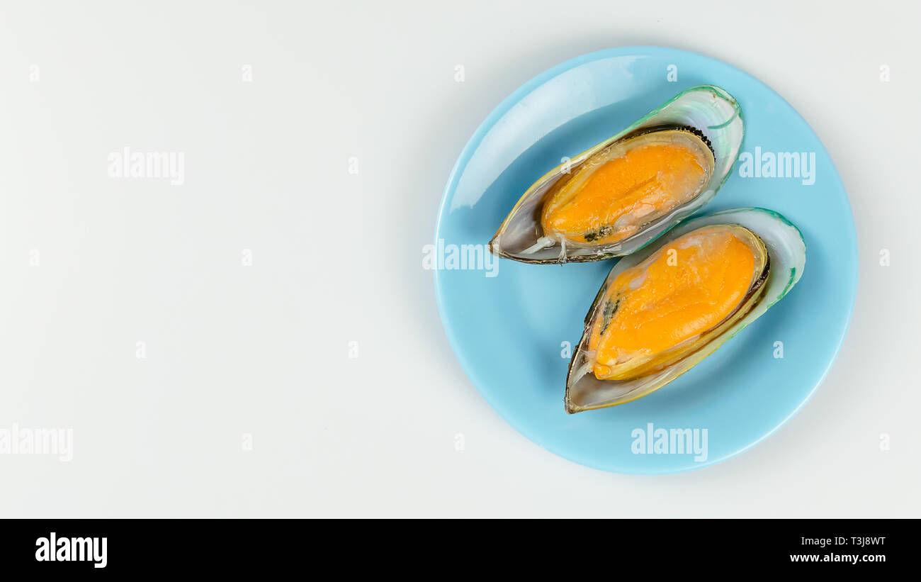 Blue mussel background hi-res stock photography and images - Alamy