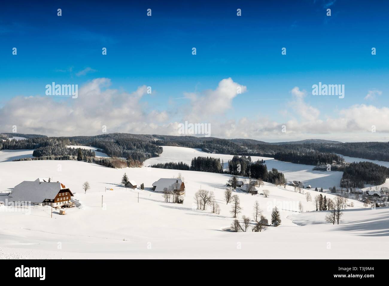 Hinterzarten house hi-res stock photography and images - Alamy