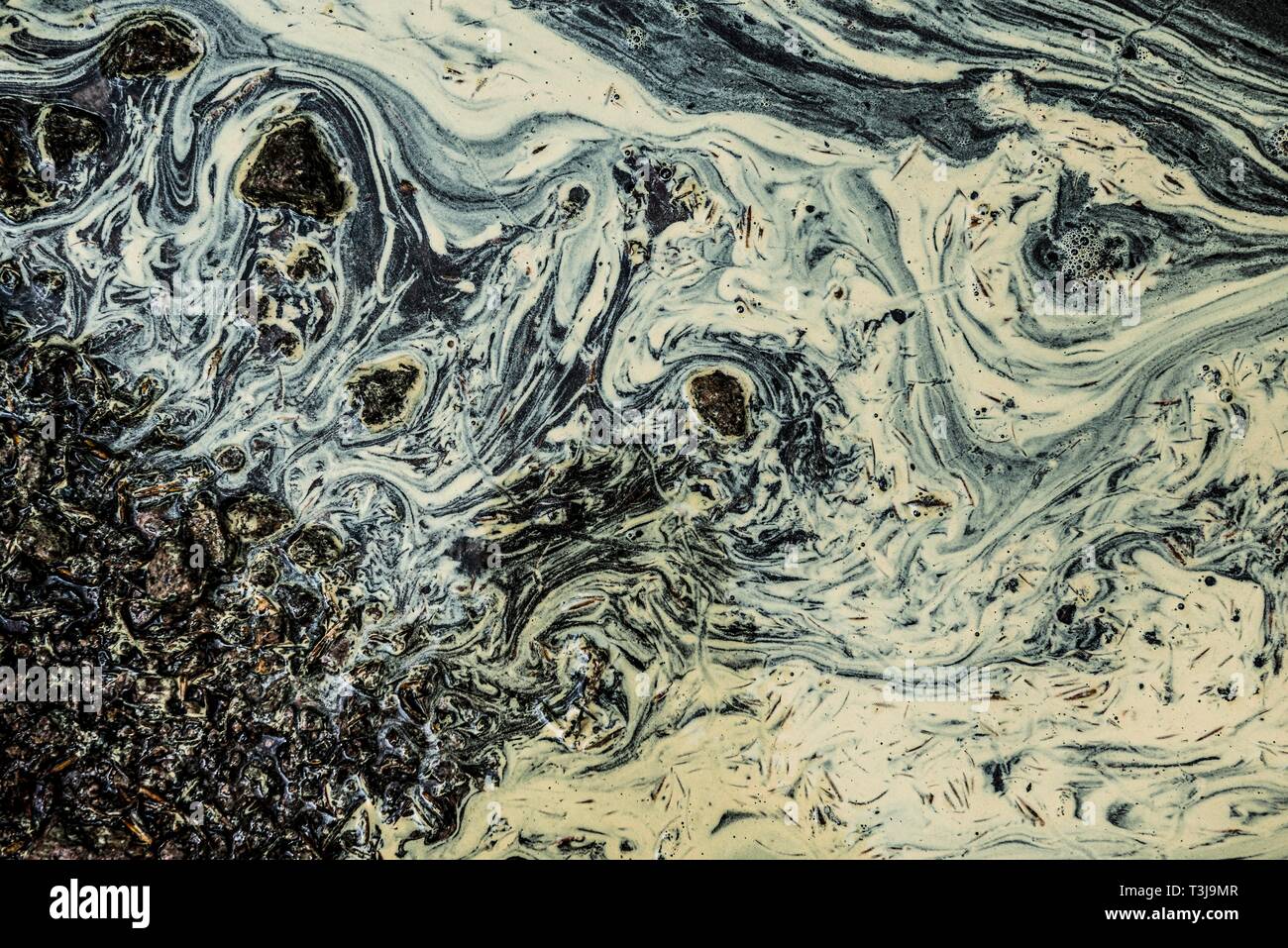 Pollen on the water surface, Baden-Wurttemberg, Germany Stock Photo - Alamy