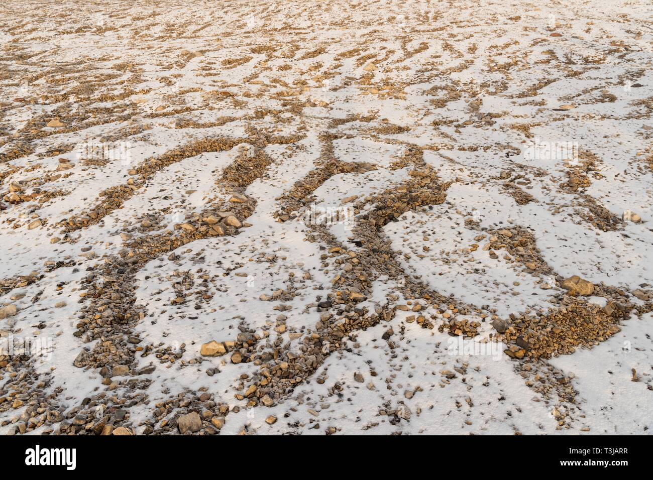Frost, pattern, soil, Murchisonfjord, Nordaustland, Spitsbergen ...