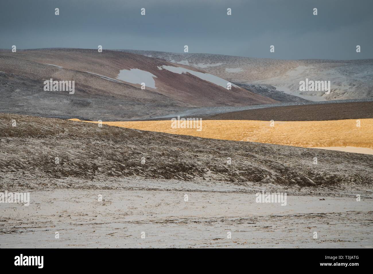 Open polar desert hi-res stock photography and images - Alamy