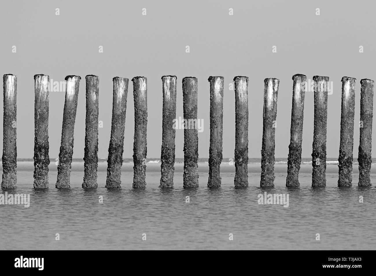 Sea flood protection Black and White Stock Photos & Images - Alamy