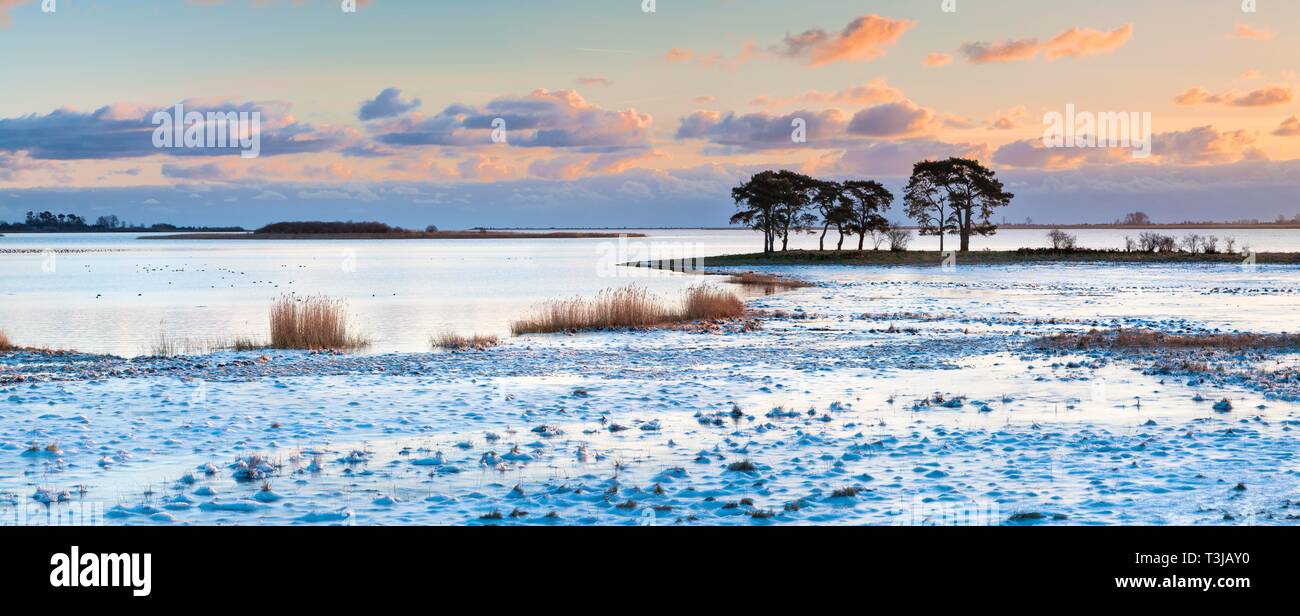 Northern germany sea winter hi-res stock photography and images - Alamy