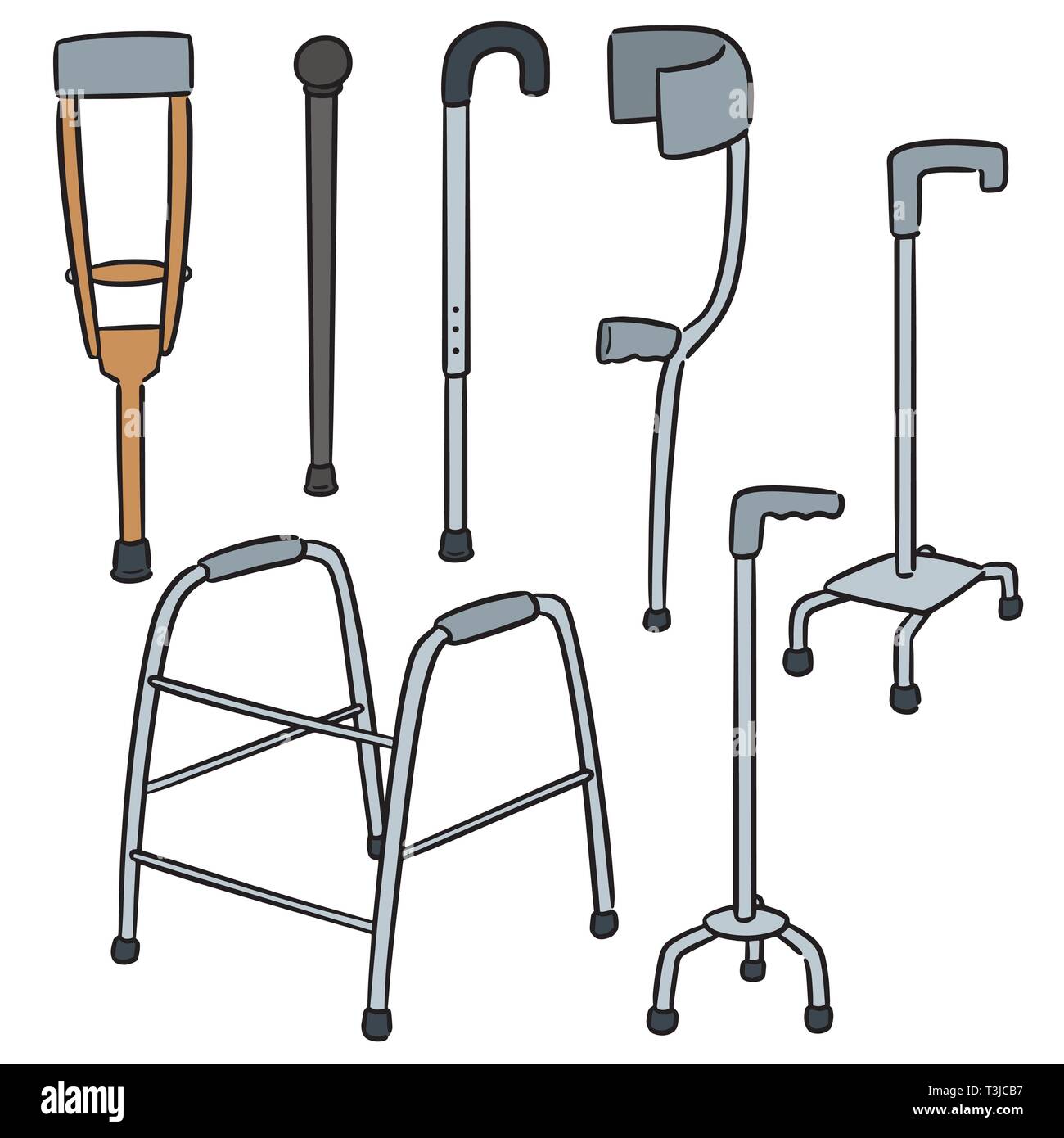vector set of walking stick Stock Vector Image & Art - Alamy