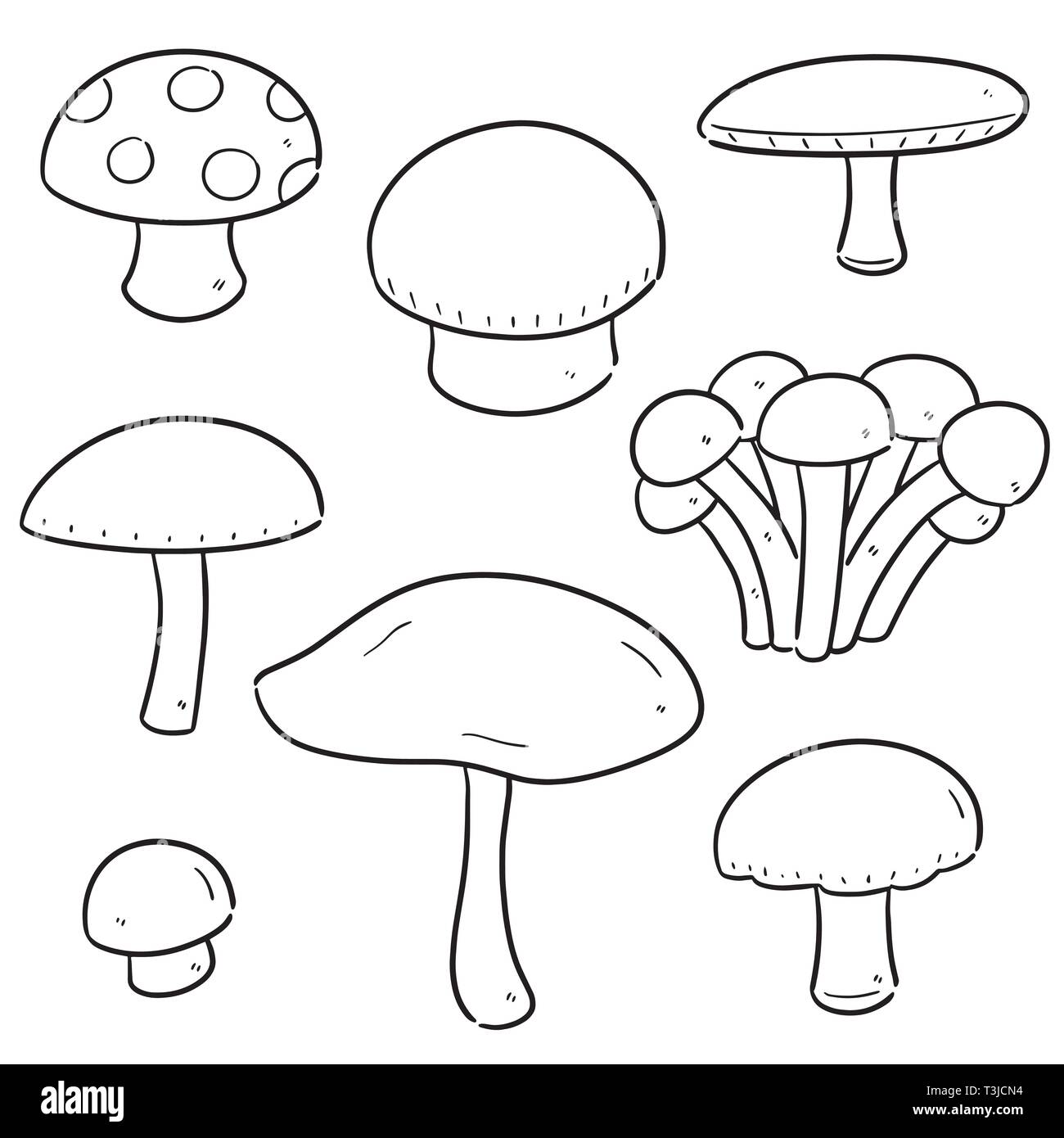 Line vector drawing mushrooms Black and White Stock Photos & Images - Alamy