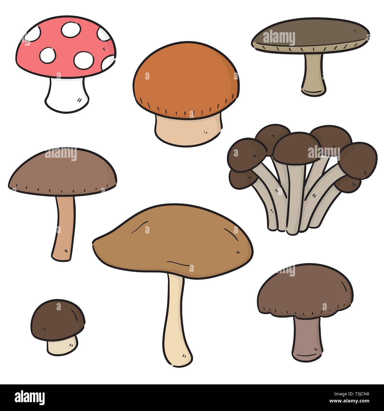 Line vector drawing mushrooms Stock Vector Images - Alamy
