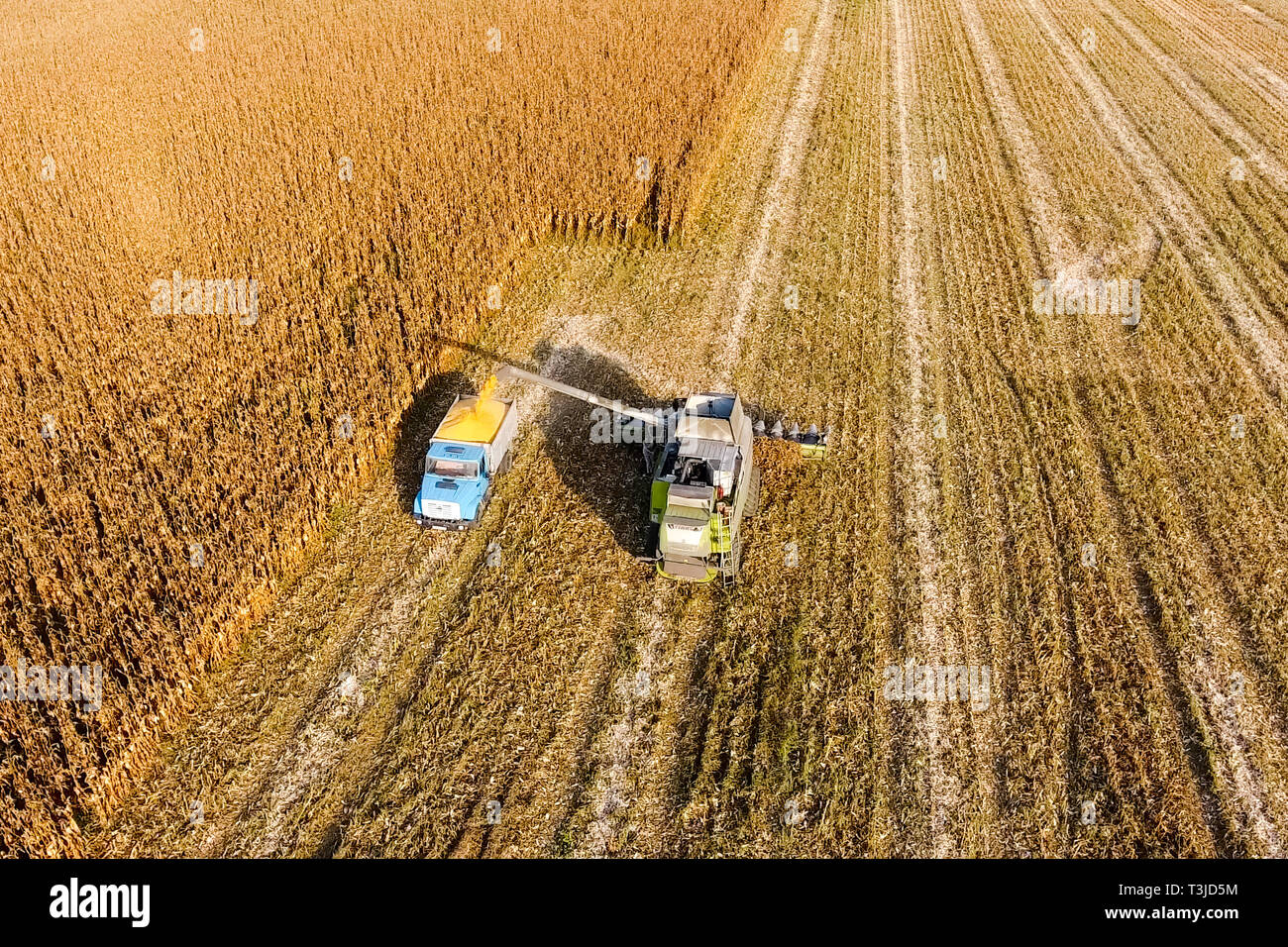 Russia field aerial corn hi-res stock photography and images - Alamy