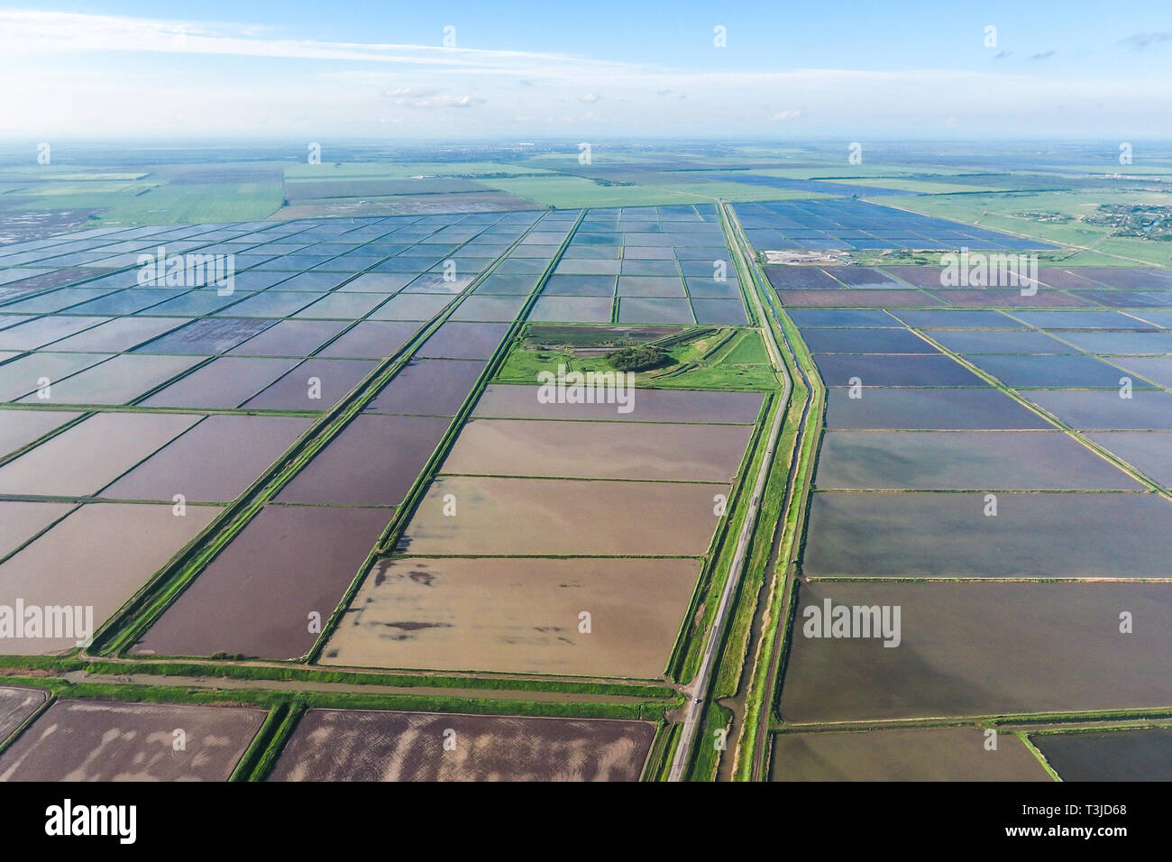 Flooded rice paddies. Agronomic methods of growing rice in the fields ...