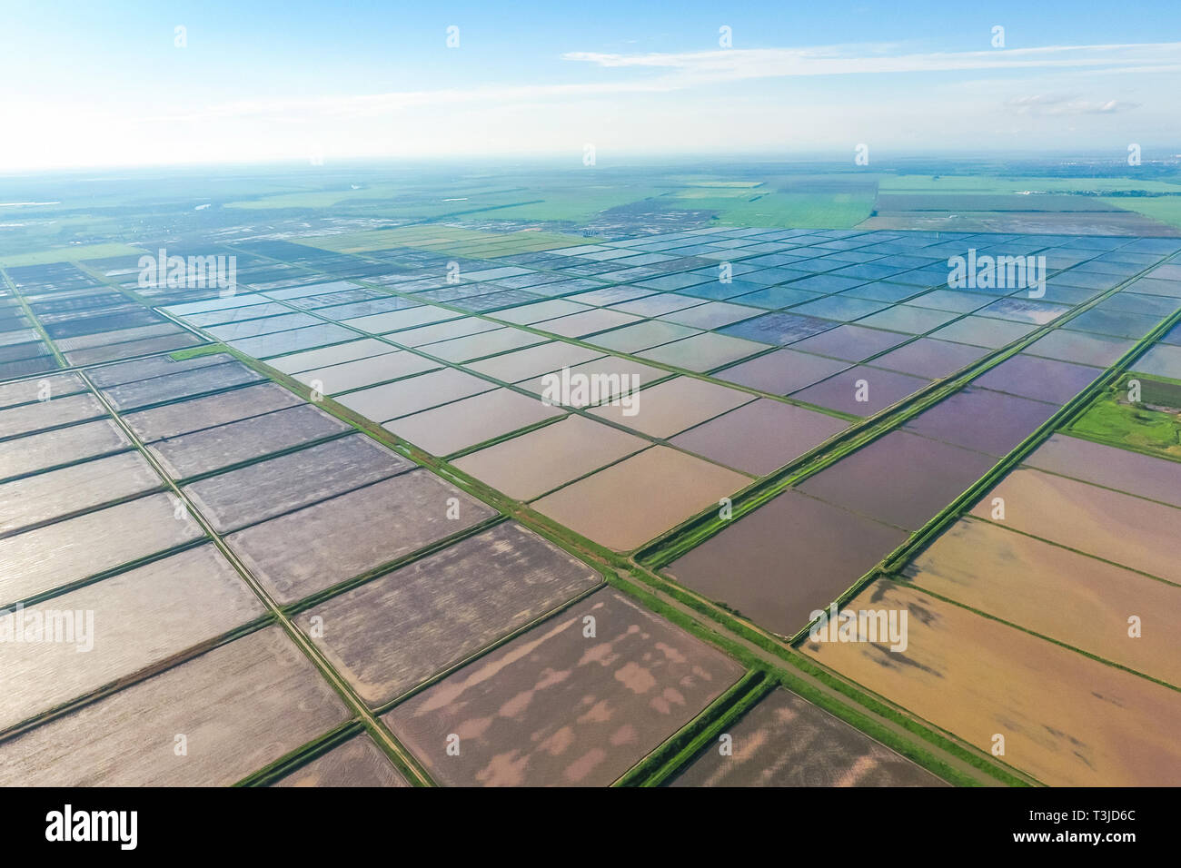 Flooded rice paddies. Agronomic methods of growing rice in the fields ...