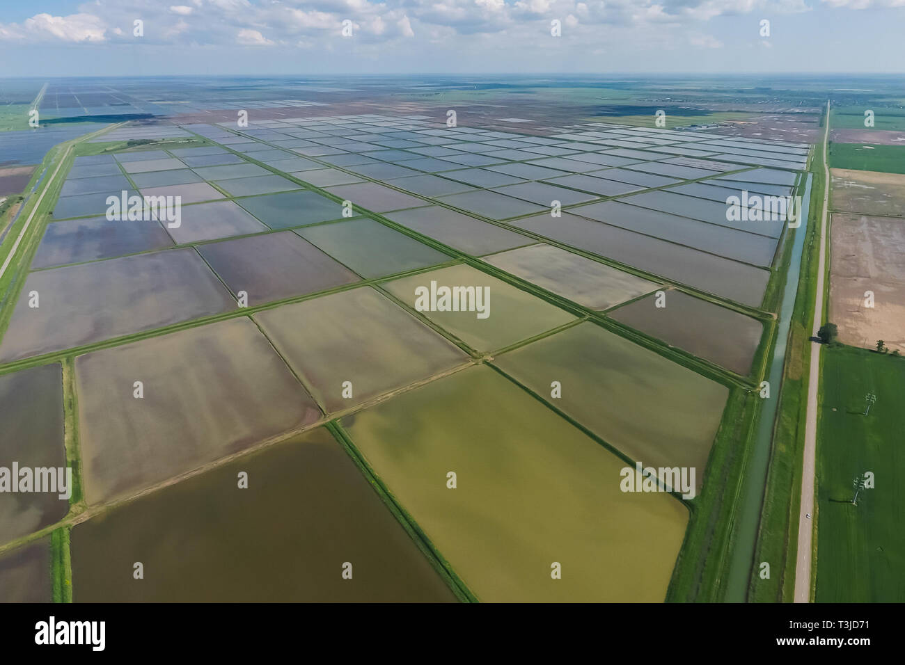 Flooded rice paddies. Agronomic methods of growing rice in the fields ...