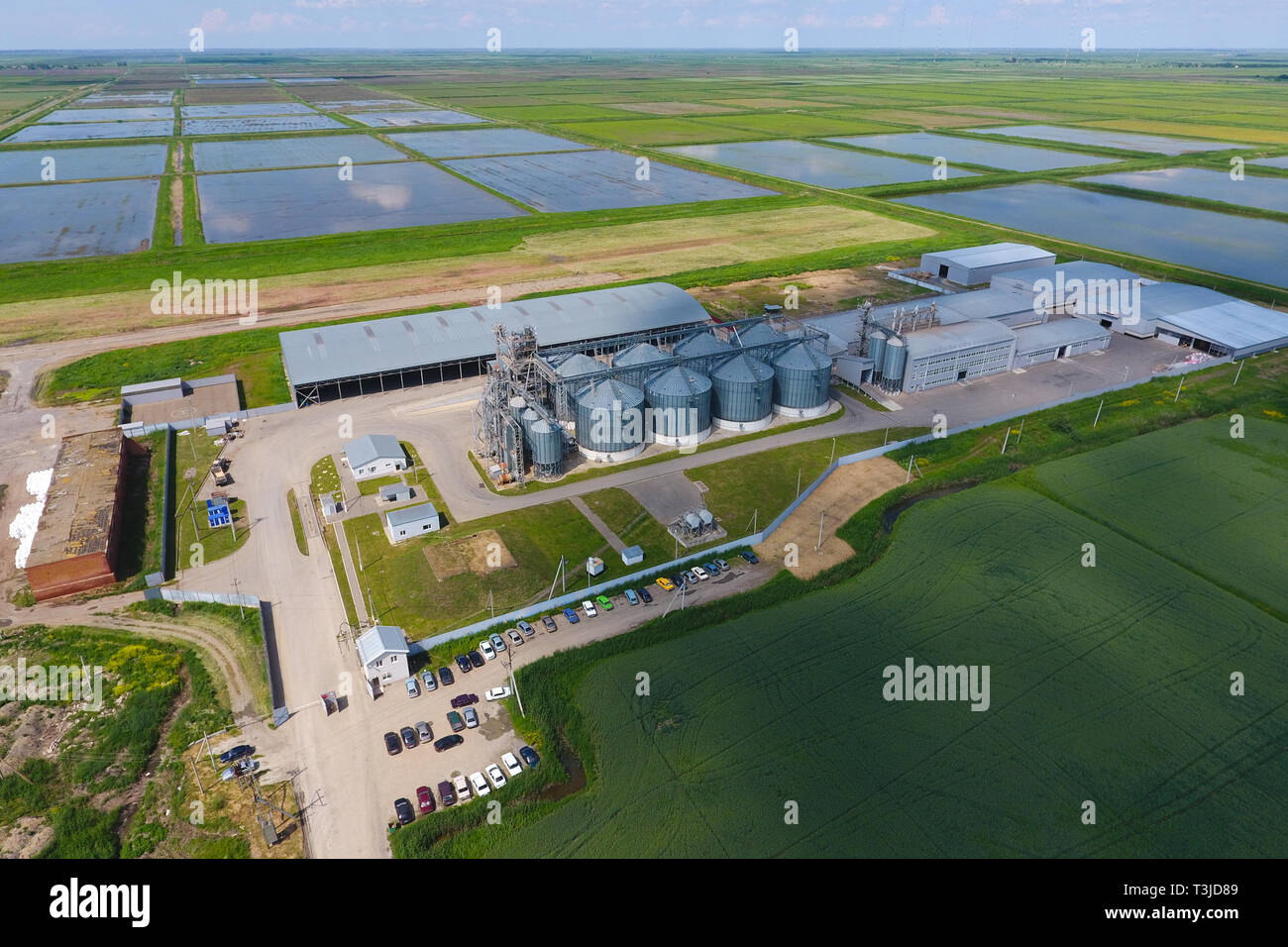 Grain terminal. Plant for the drying and storage of grain. Rice plant ...