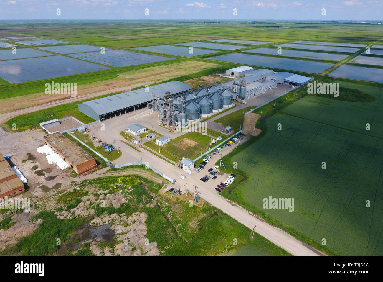 Grain terminal. Plant for the drying and storage of grain. Rice plant ...